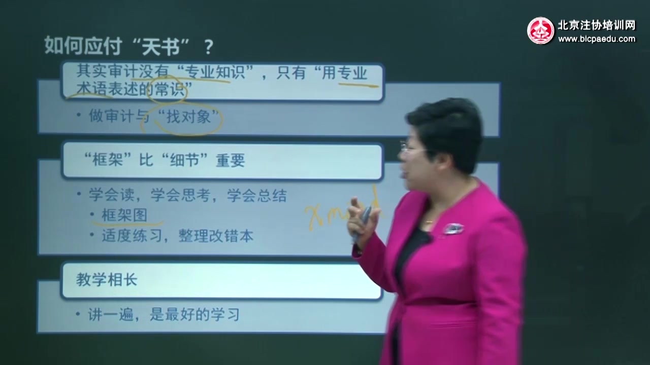 注册会计师|CPA|北京注协培训网-审计(王霞)