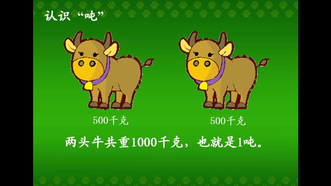 微课吨的认识.mp4