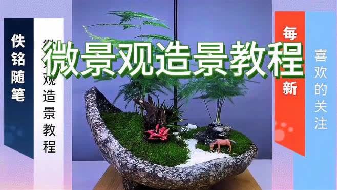 创意微景观造景教程