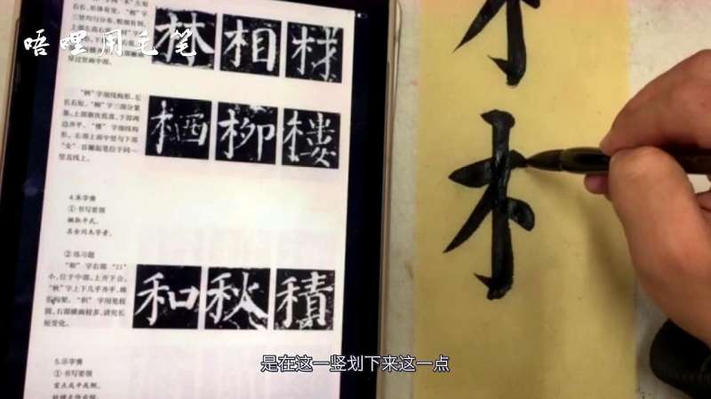 书法教学:颜勤礼碑颜体“木字旁”的写法,一定要注意细节哦