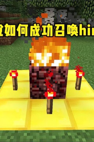 我的世界:MC玩家用什么方法成功召唤出了him?