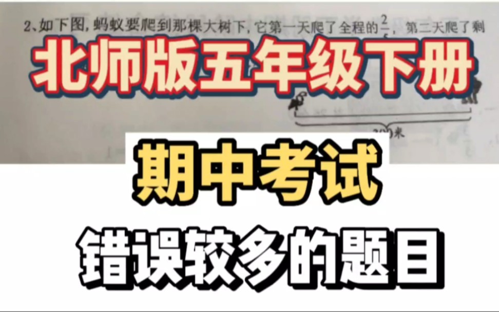 北师大版小学数学五年级下册,期中复习