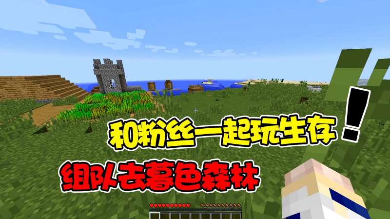 我的世界:带领粉丝挑战暮色森林,没想到一下午没挖到一颗钻石!