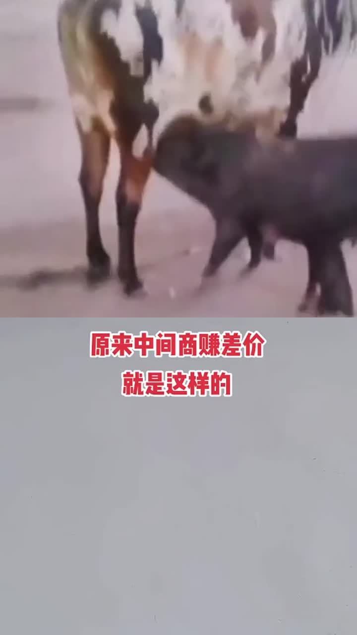 和 一起 原来中间商赚差价就是这样子的