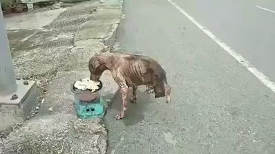 如果觉得生活艰难,不烦看看这个视频