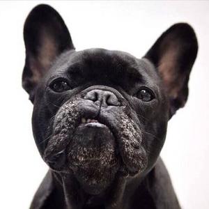 鸿誉影视了帆帆 