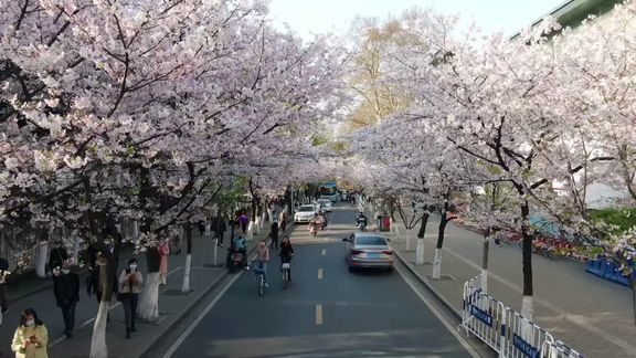 #樱花ߌ� 冷暴力是折磨也是散场的开始