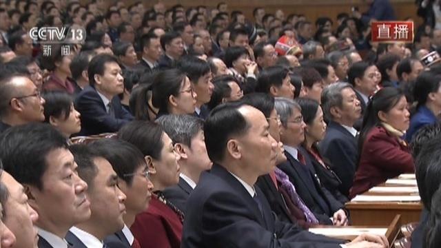 中华人民共和国第十三届全国人民代表大会副委员长王晨等宣誓