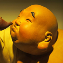 人文知识大课堂 