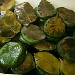 A湘小梅 