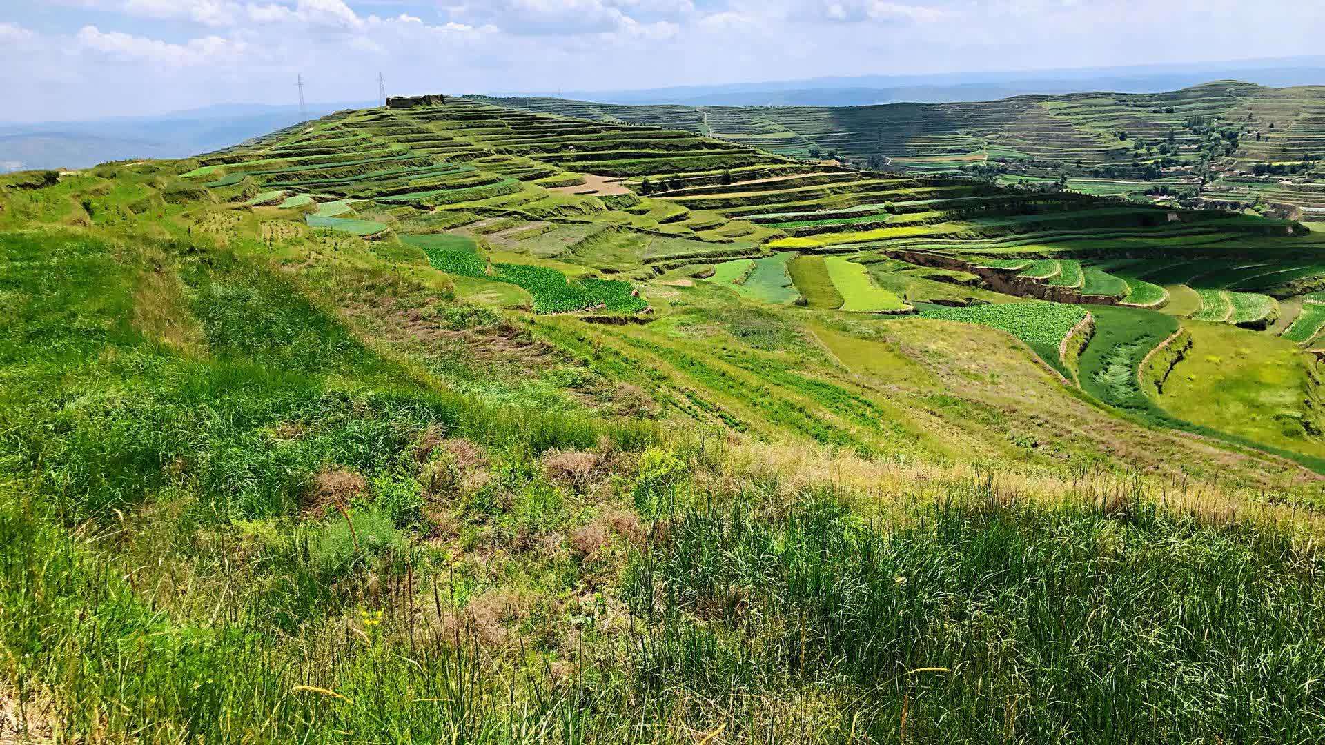 大西北甘肃定西,退耕还林后现变成这样了,是你想象中的地方吗?