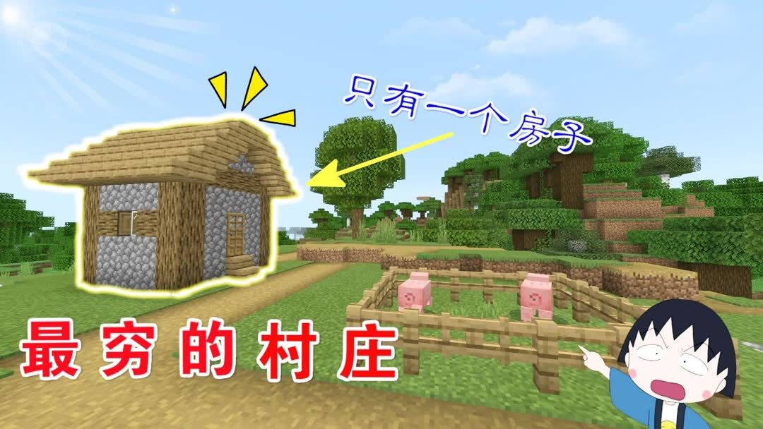 我的世界:目前为止见过最穷的村庄,只有一个房子连村民都没有!