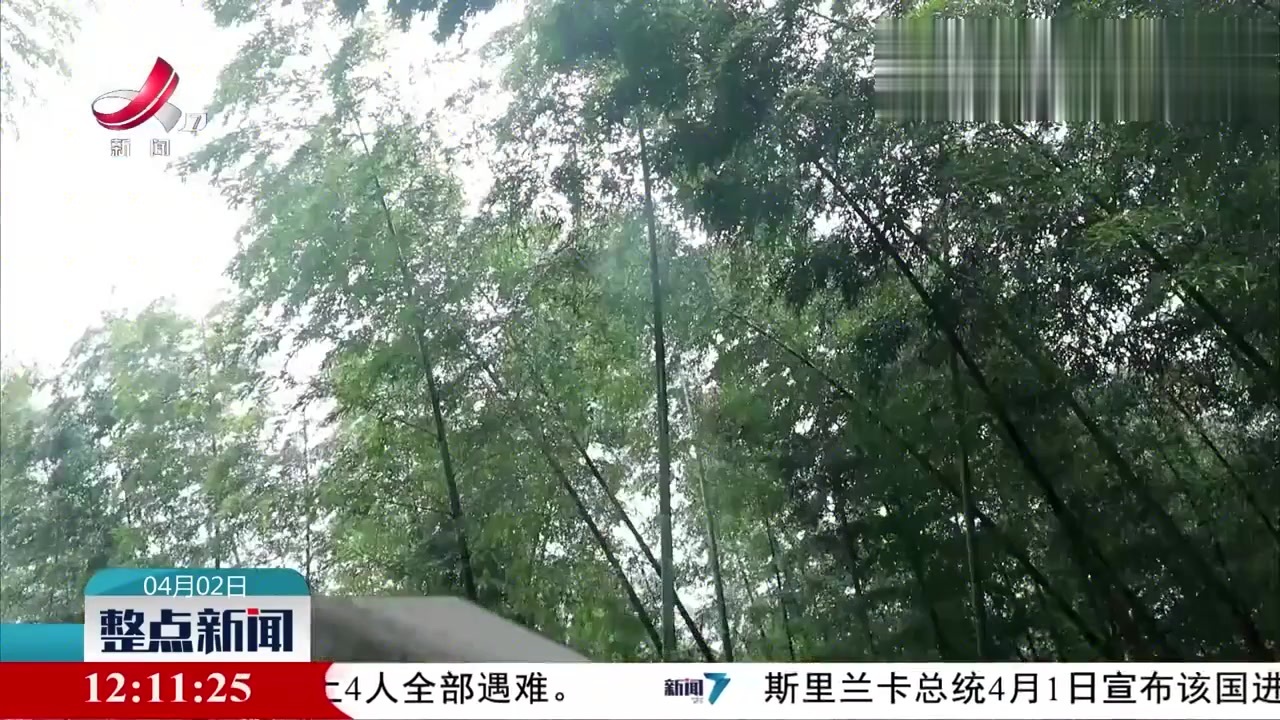 2021年度林长制考核成绩单近日公布