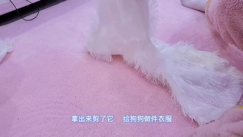 用旧衣服给狗狗做衣服,把狗狗气的抽泣了#小动物