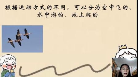 34号 田恺悌 《种类繁多的动物》