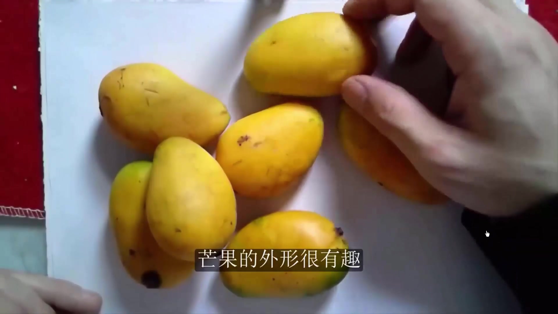 刘坚强儿童学《儿童简笔画》2-5 芒果