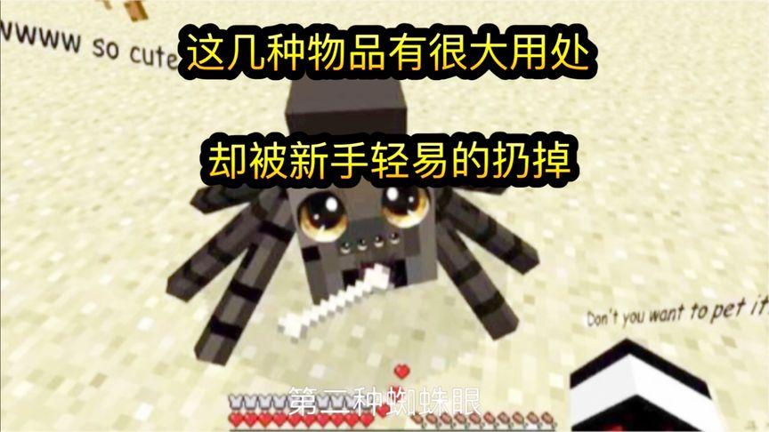 我的世界:这几种物品有很大用处,却被新手轻易的扔掉