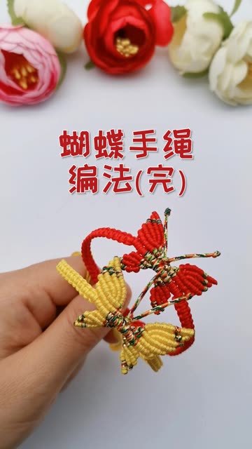 第5集|蝴蝶手绳编法(完)
