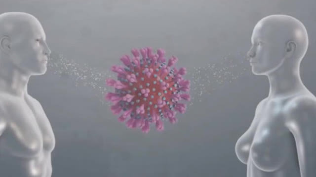 带你从微观世界了解,病毒是如何步步入侵宿主细胞的!