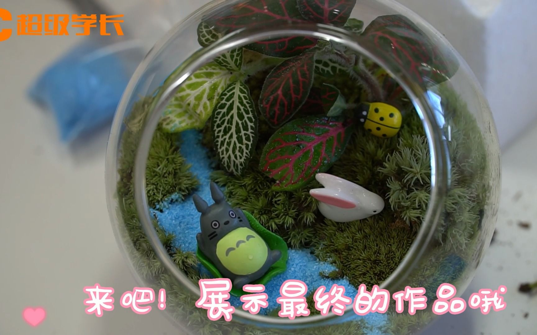 【南京超级学长】生态微景观workshop!