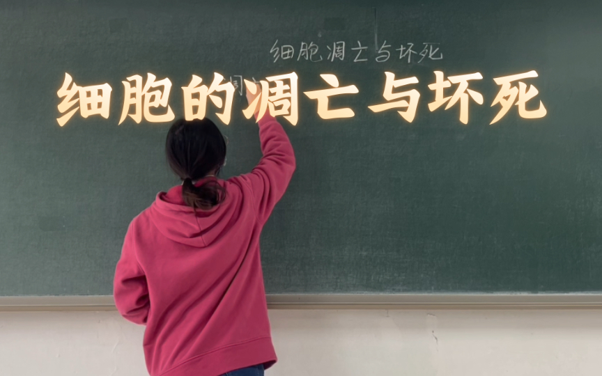 【细胞的凋亡与坏死】教资面试试讲