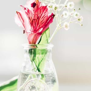 刘同学的无聊事 