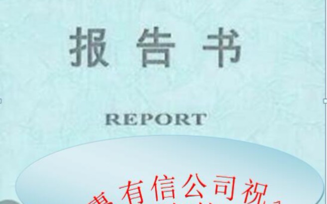审计评估报告工具模板