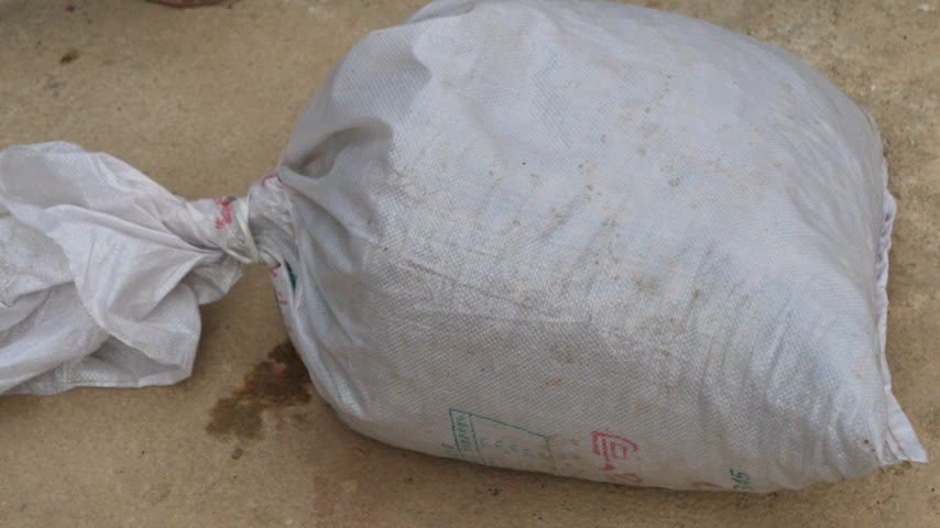 山上扛回一袋松树皮,简单处理,栽培兰花长势旺