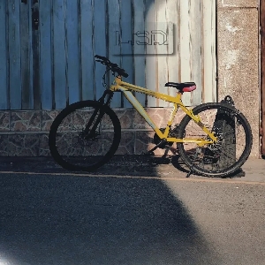 可爱的瑟瑟发抖 