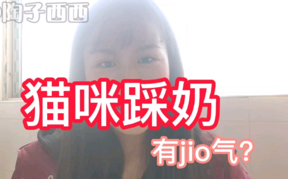 关于猫咪踩奶的那些事儿