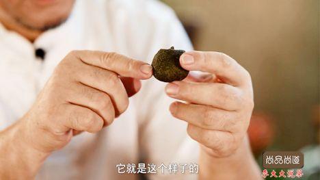 冷泡柑普茶鲜爽甘醇还下火