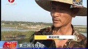 8名小学生捡海鸭蛋4名溺水身亡