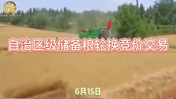 自治区级储备粮轮换竞价交易#粮食 #小麦 #价格