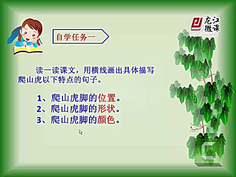 微课爬山虎的脚