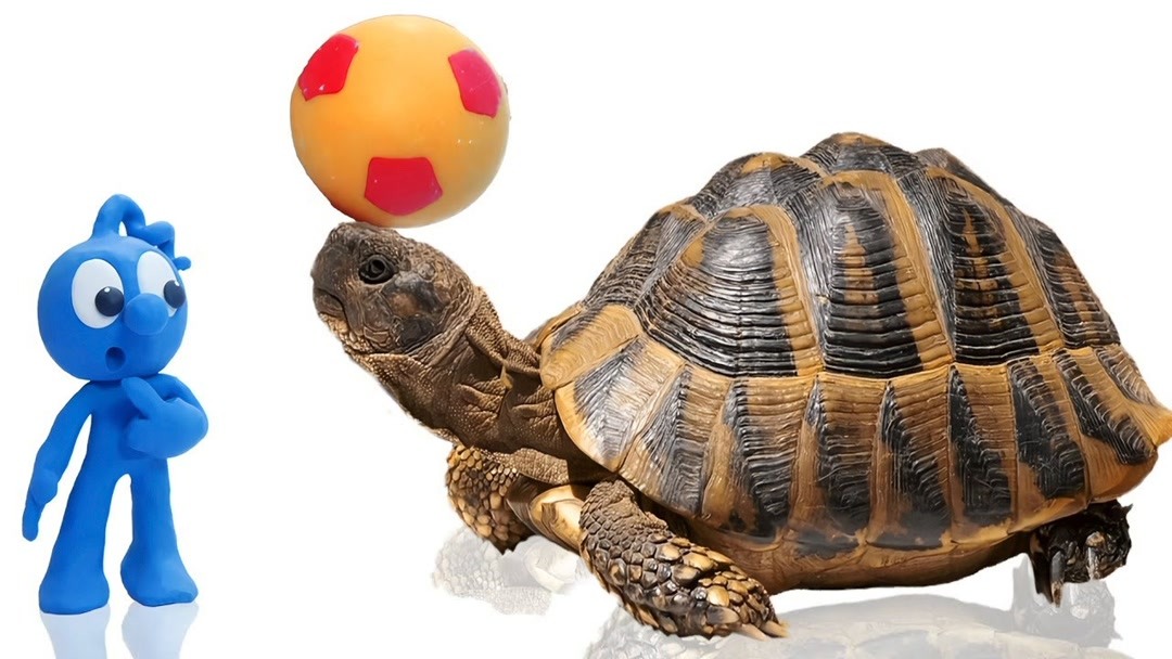 萌宝趣味橡皮泥!蓝精灵遇到一只非常可爱的乌龟!