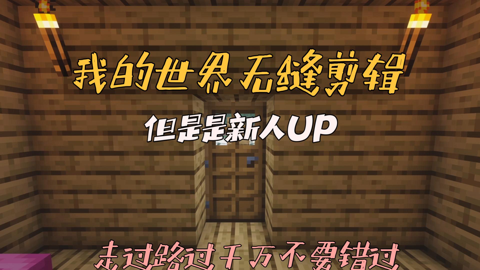 我的世界新人UP的无缝剪辑