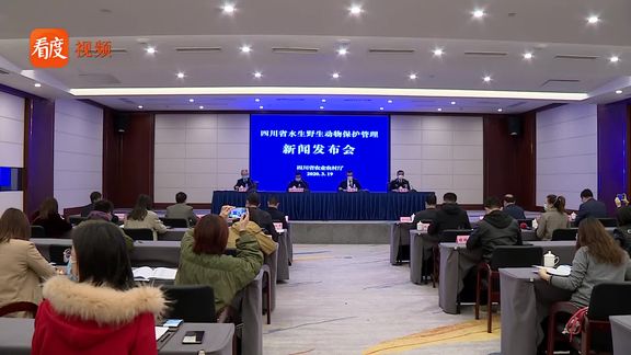 四川水生野生动物保护管理新闻发布会:明确水生野生动物保护范围