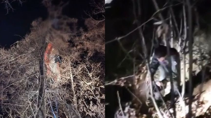 韩国一战机突发故障坠毁 事故现场曝光:飞行员逃生悬挂在大树上