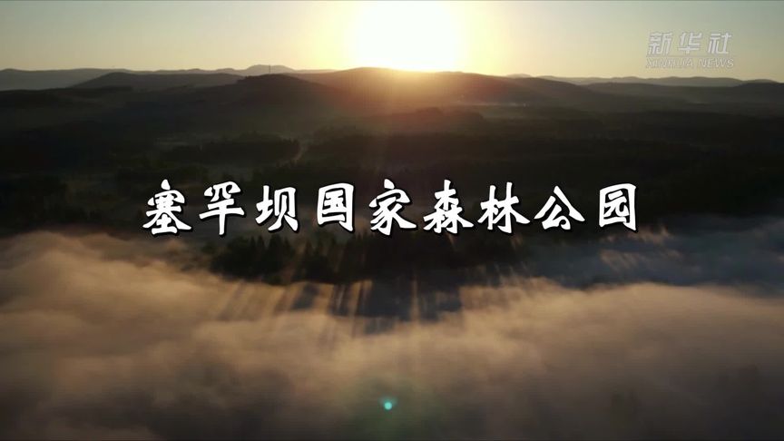 “云游”30秒——塞罕坝国家森林公园