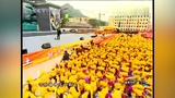 众人划桨开大船 现场版-付笛声