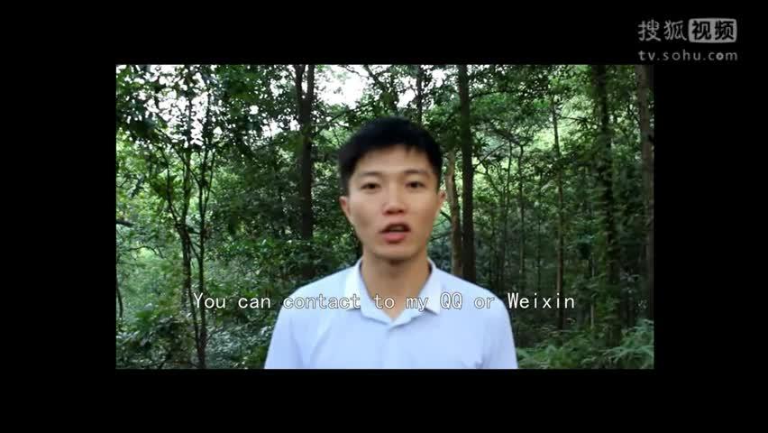 qq公众号什么时候开通