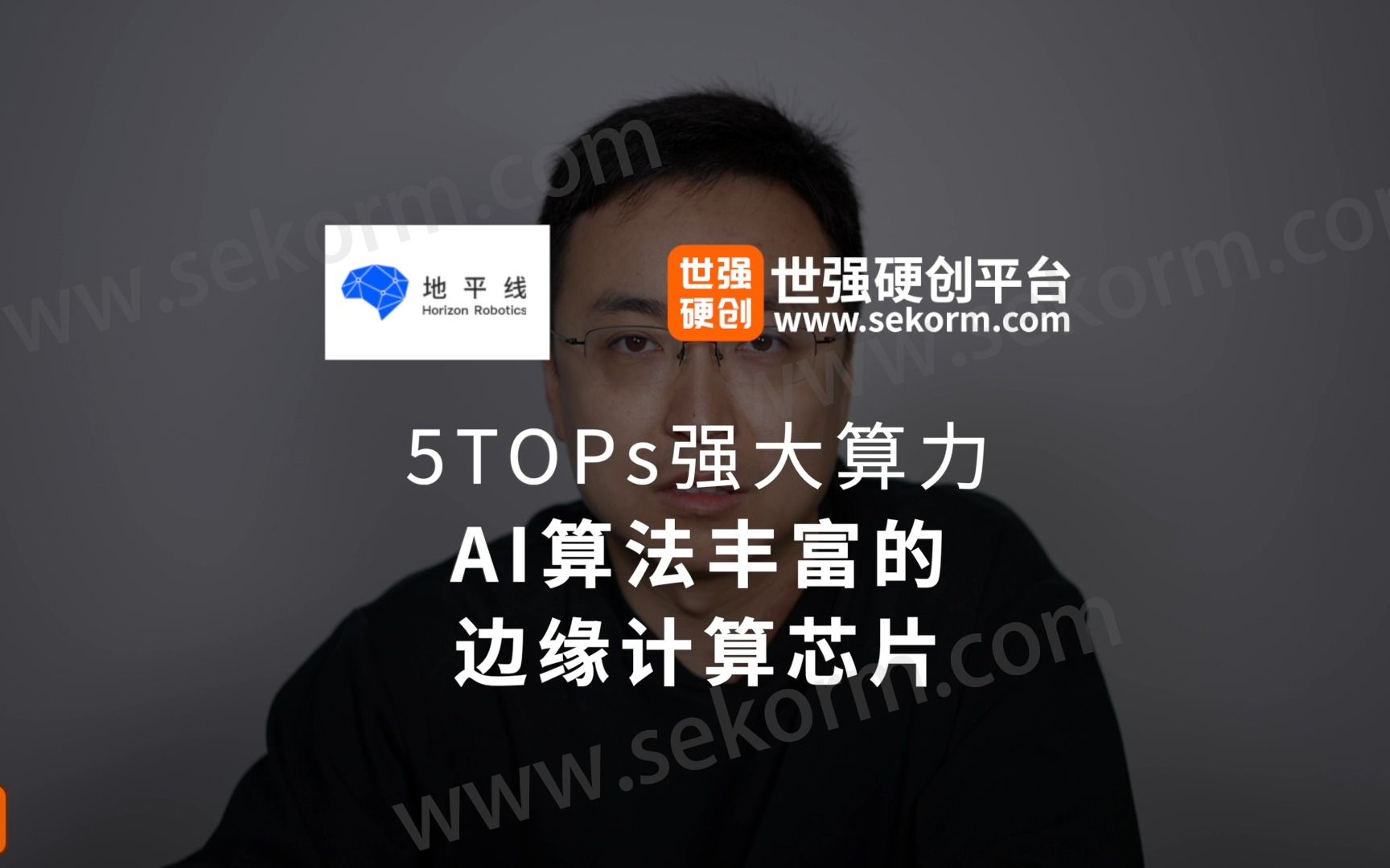 地平线边缘计算芯片5TOPs AI算法丰富