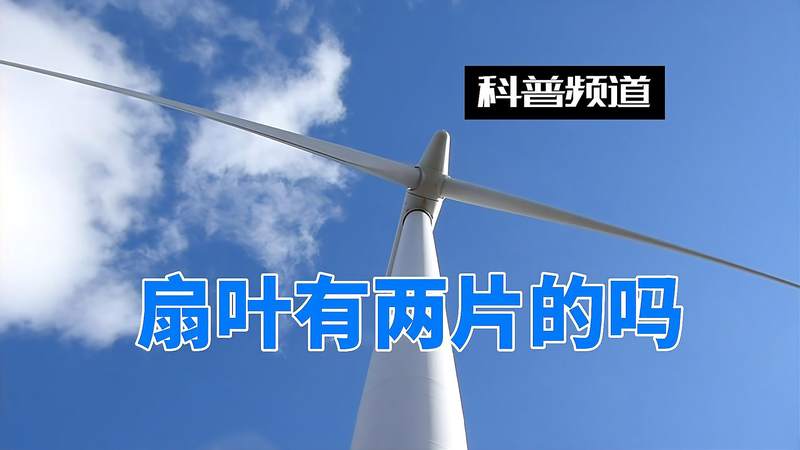 为什么电风扇的叶片都是单数