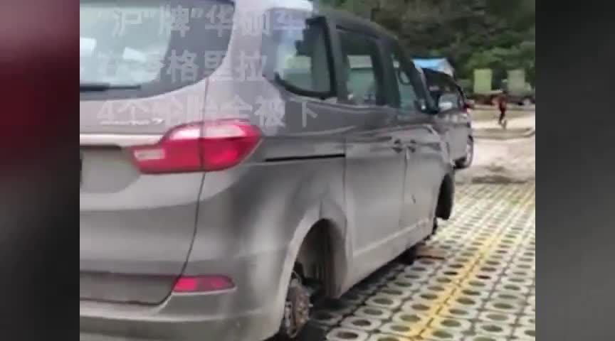 神州租车在丽江非法经营被运政约谈 违规车辆全部拉走