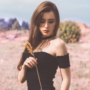 amv极乐 