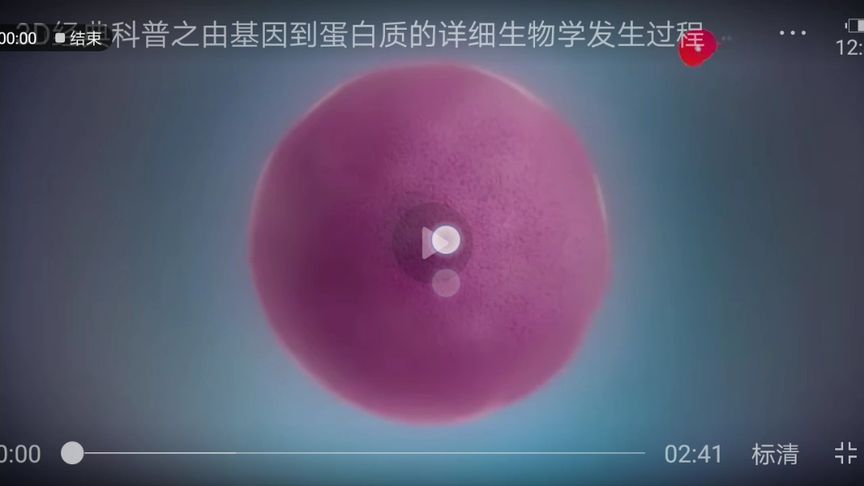 细胞内部的介绍