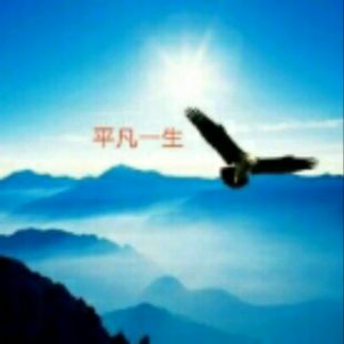 郭杰T892292860 
