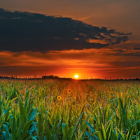 大鱼用户1573710699370955 