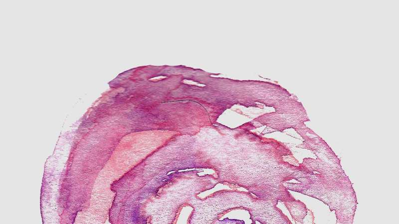 第9课-平面设计师,都是如何设计LOGO和海报的