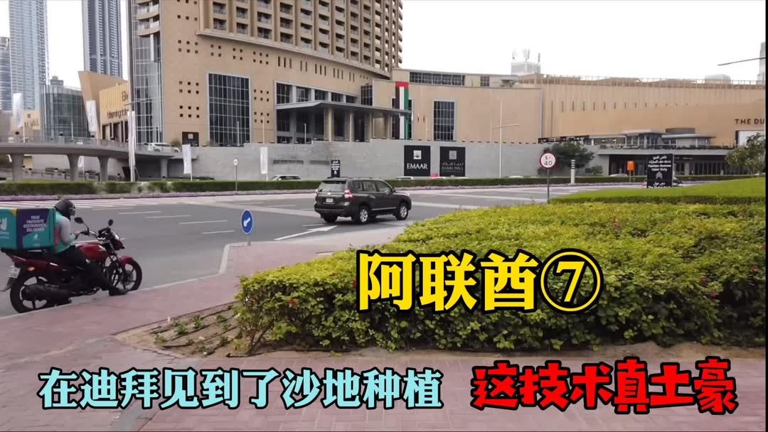 在迪拜见识到了沙地种植,这技术可真土豪啊!